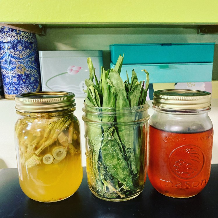 Spring foraging retrospective: Knotweed pickles, ramp salt, and hickory ...